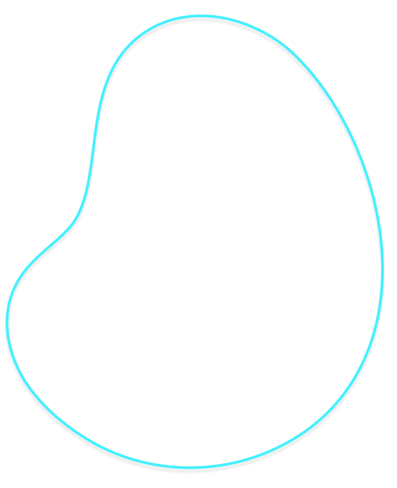 PLOMO - IT Company for Web | Mobile | Digital Marketing Services