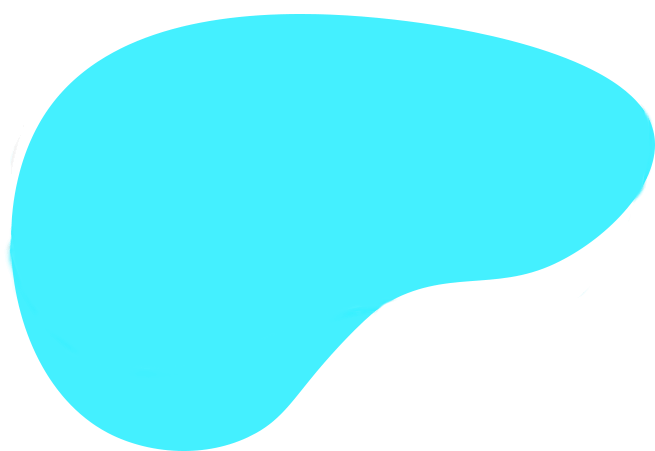 PLOMO - IT Company for Web | Mobile | Digital Marketing Services